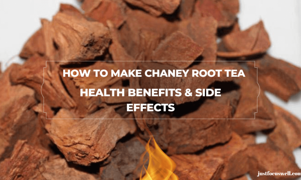 How To Make Chaney Root Tea, Health Benefits & Side Effects
