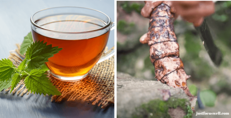 How To Make Chaney Root Tea, Health Benefits & Side Effects