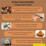 10 Best Home Remedies To Reduce ESR In Blood (Full Review)