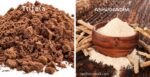 10 Best Home Remedies To Reduce ESR In Blood (Full Review)