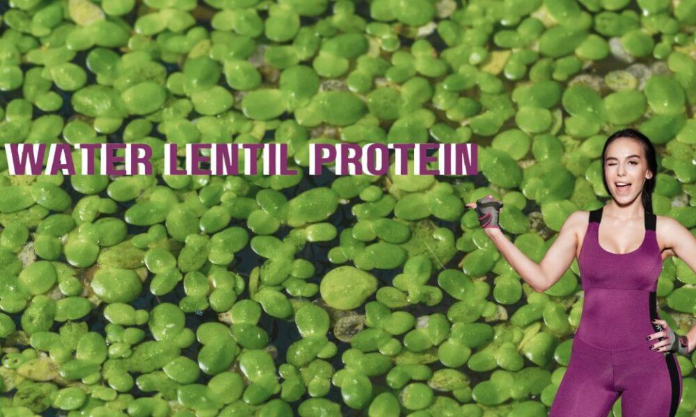 Water Lentil Protein Powder: Benefits, Dosage, And Side Effects